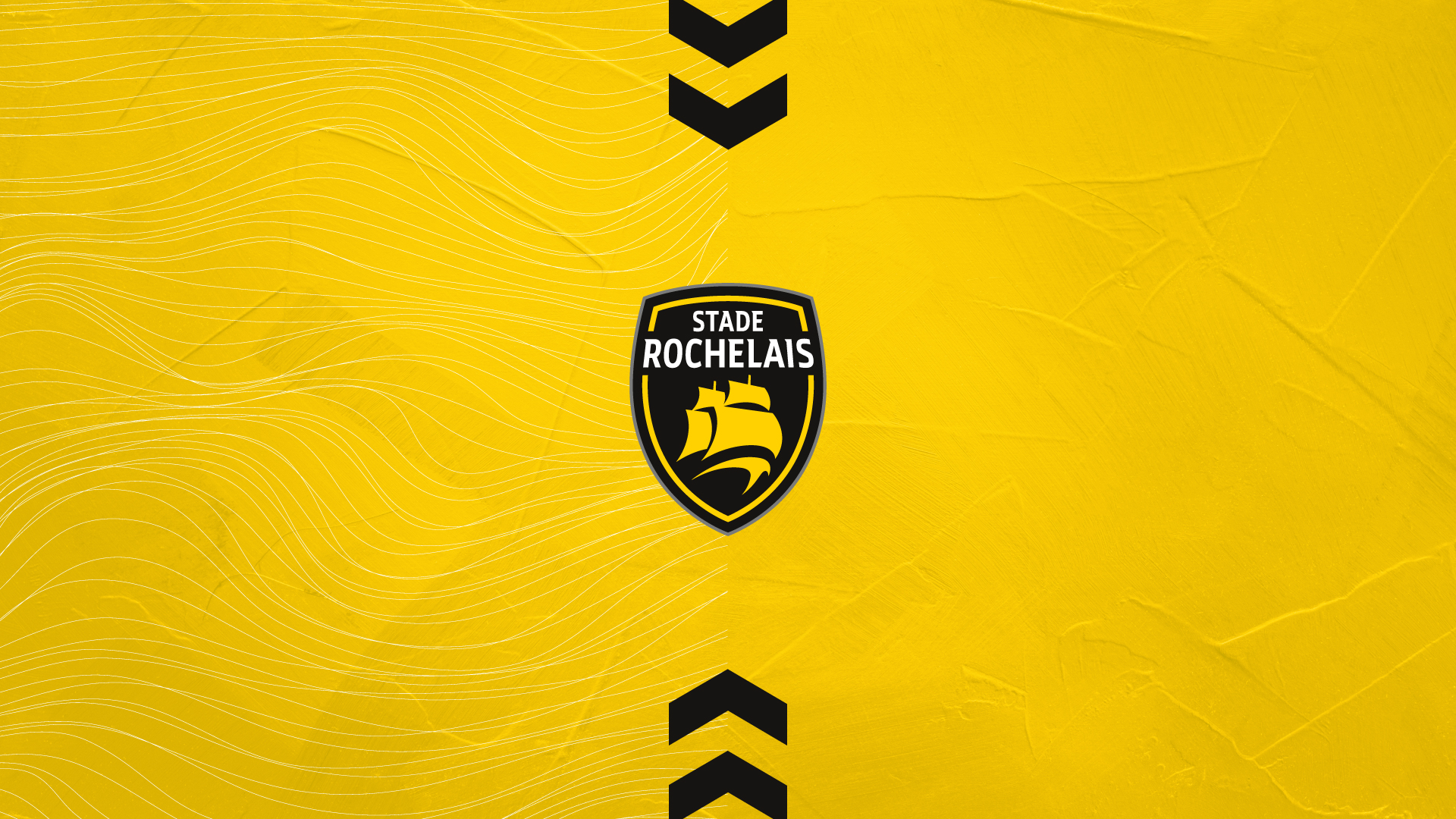 Fonds d'écran | Stade Rochelais