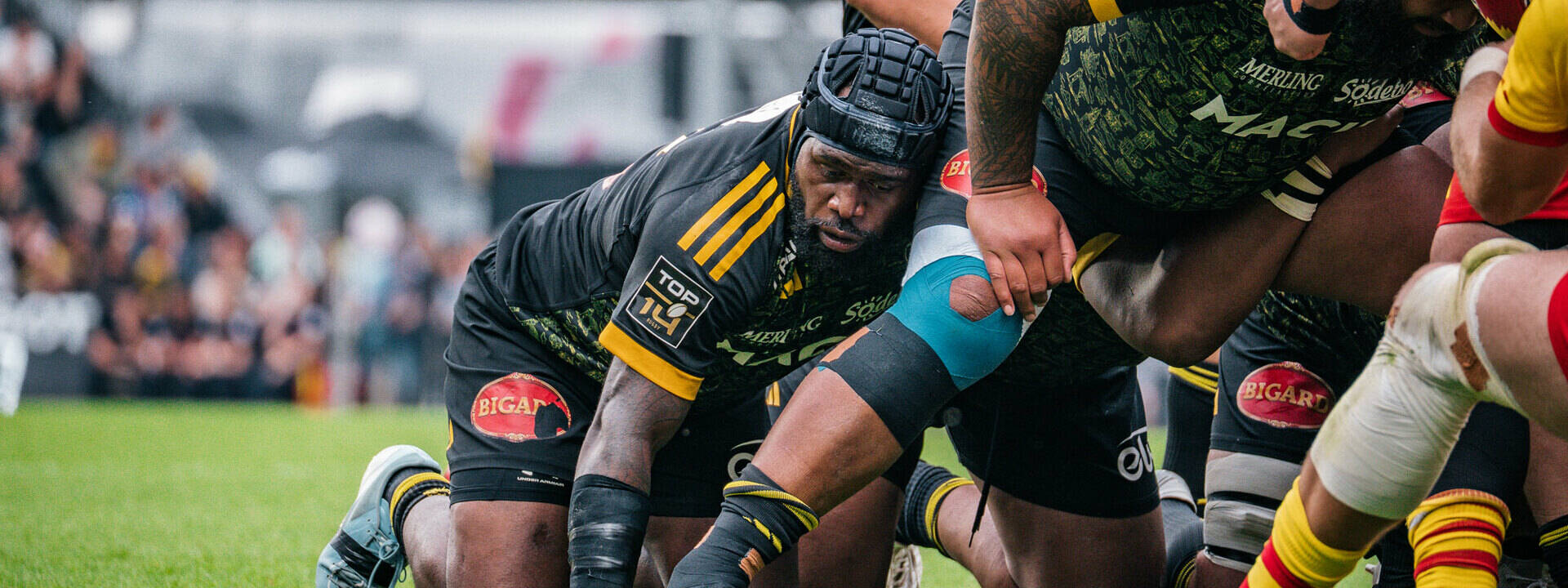 Saison 2025/2026 : le Stade Rochelais fait le point sur son effectif ...