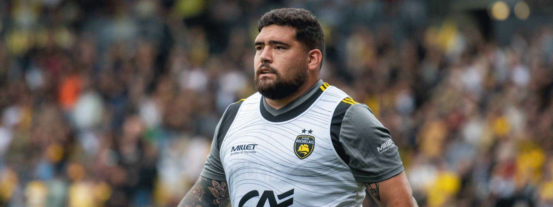 Sclavi continue son chemin avec les Pumas | Stade Rochelais